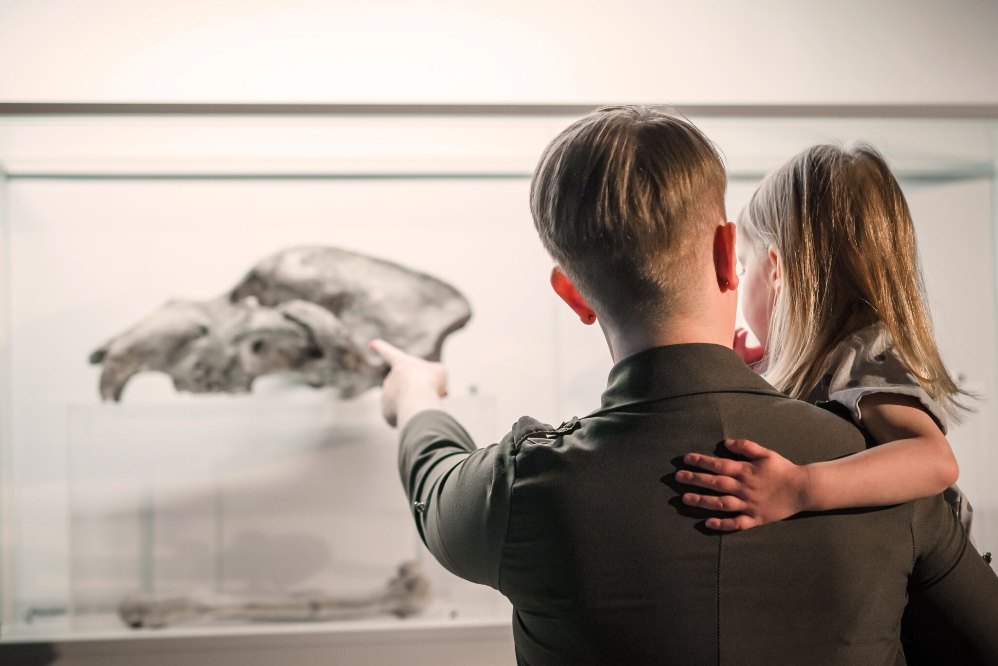 Museum Training Resources – Learning Curated for Museum Professionals